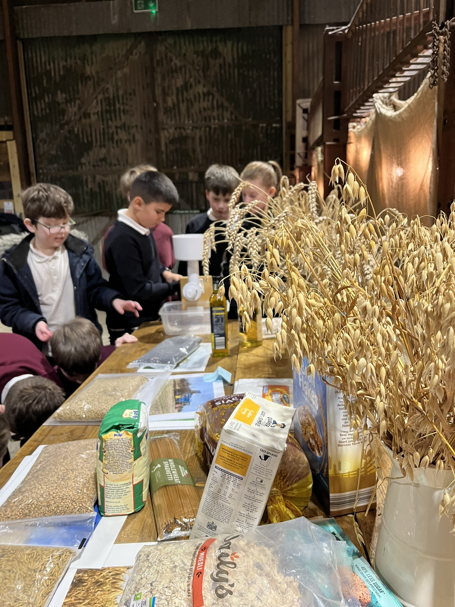 Blog | Royal Highland Education Trust